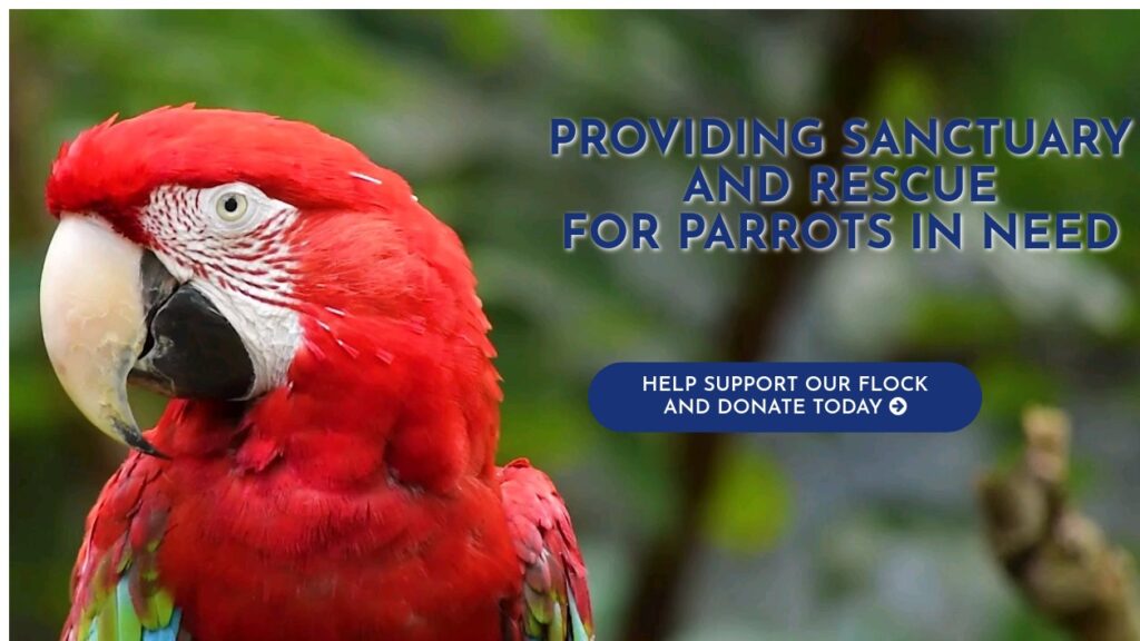 RUFFLED FEATHERS PARROT RESCUE AND SANCTUARY