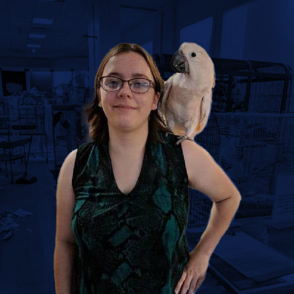 RUFFLED FEATHERS PARROT RESCUE AND SANCTUARY